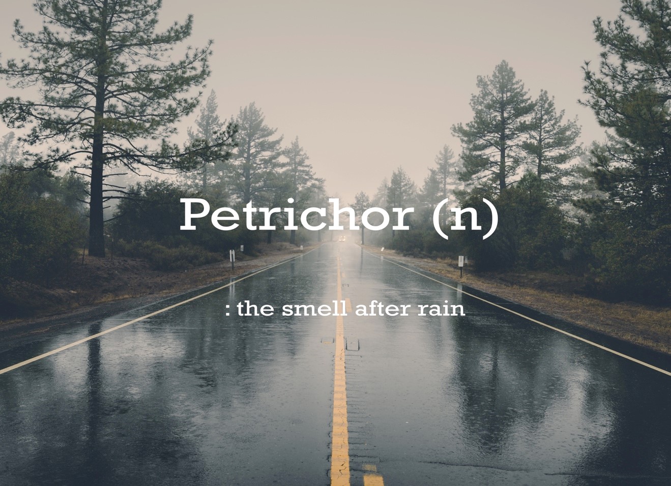 15 Scintillating Words That’ll Break Your Writers Block – Long River Review